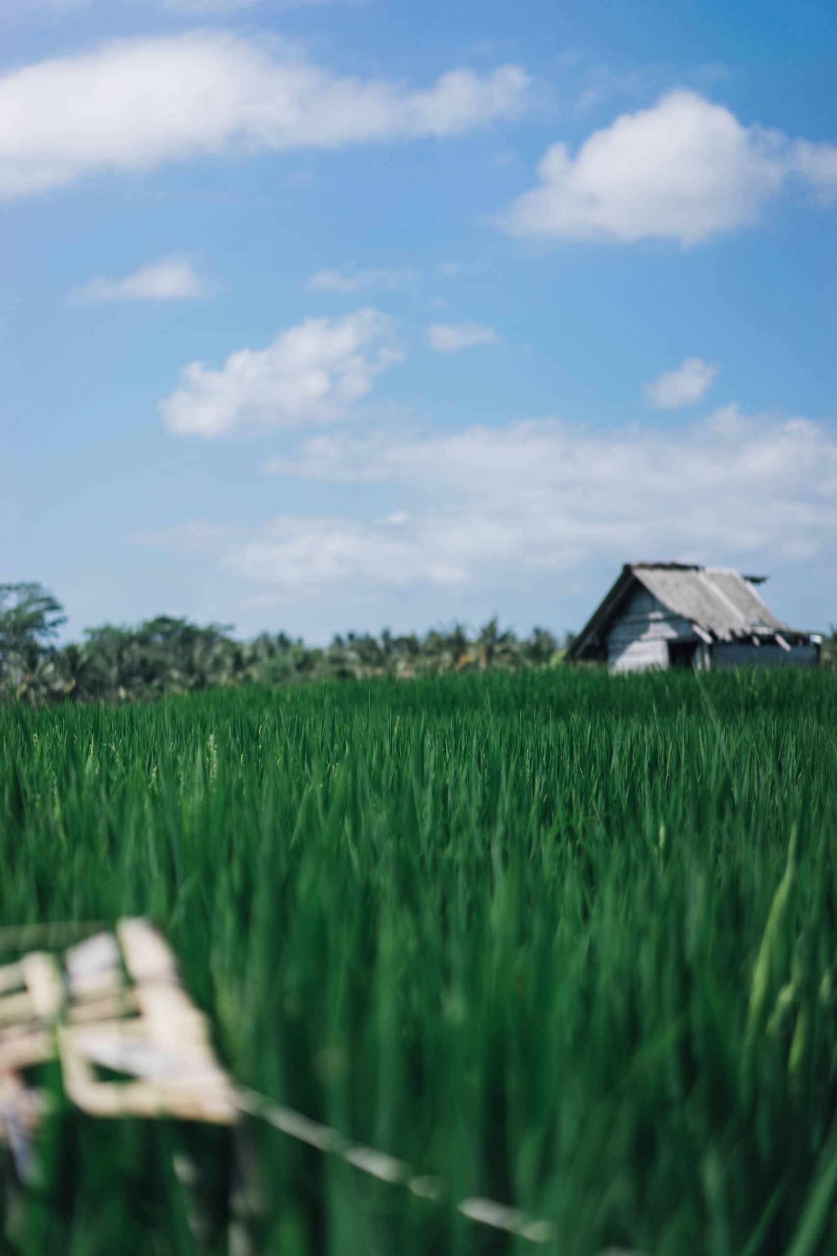 The Ultimate Bali Itinerary and Best Things to Do in Bali